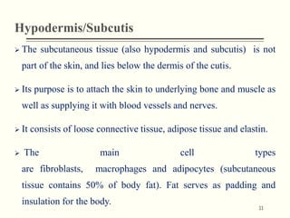 Skin presentation | PPTX