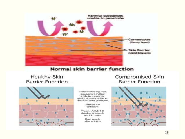 Skin presentation | PPTX
