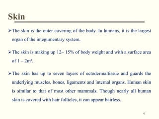 Skin presentation | PPTX