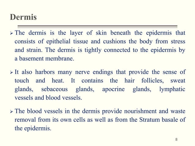 Skin presentation | PPTX