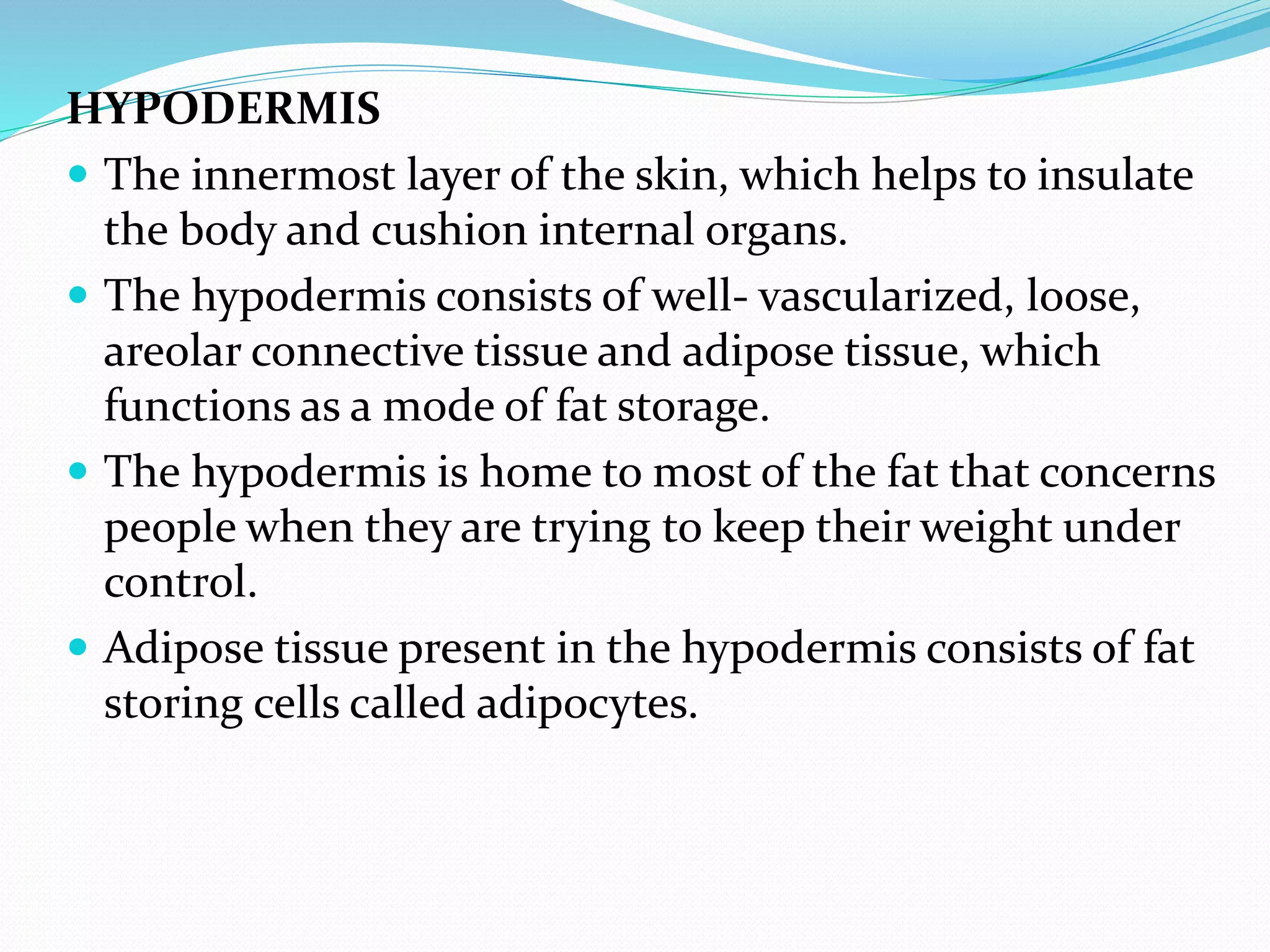 Skin presentation | PPTX