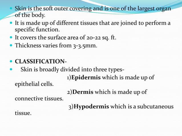 Skin presentation | PPTX