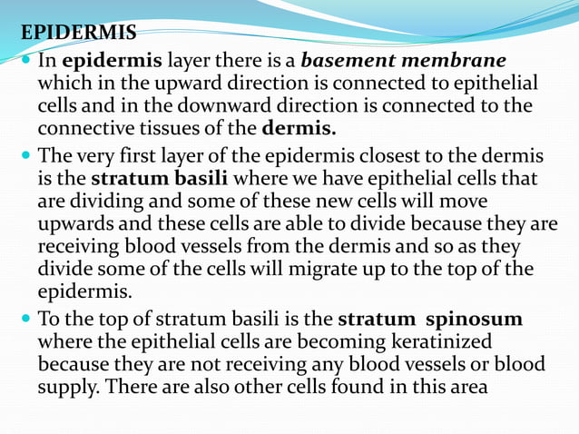 Skin presentation | PPTX
