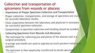 Comprehensive Overview of Purulent Exudates, Wounds, and Abscesses in ...