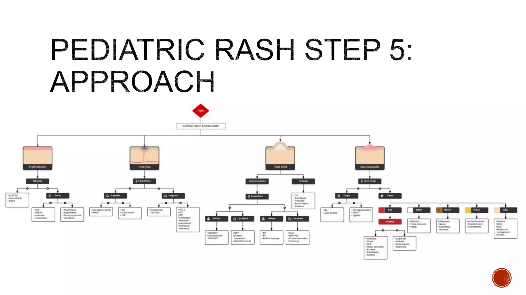 Approach to Skin rash | PPTX