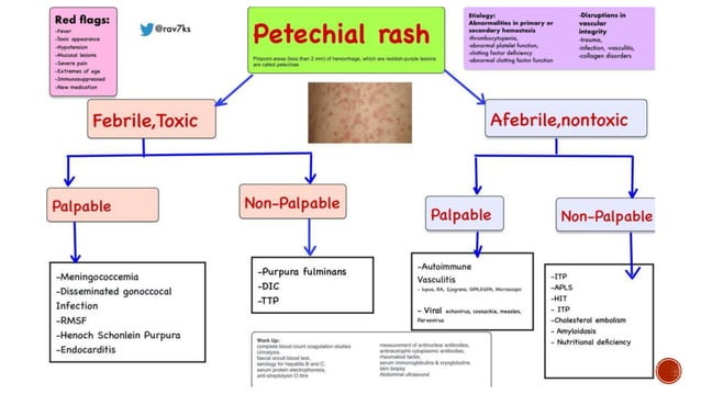 Approach to Skin rash | PPTX