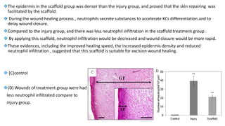 Skin regeneration | PPTX | Skin Care | Beauty