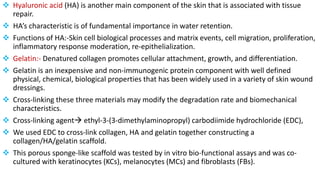 Skin regeneration | PPTX
