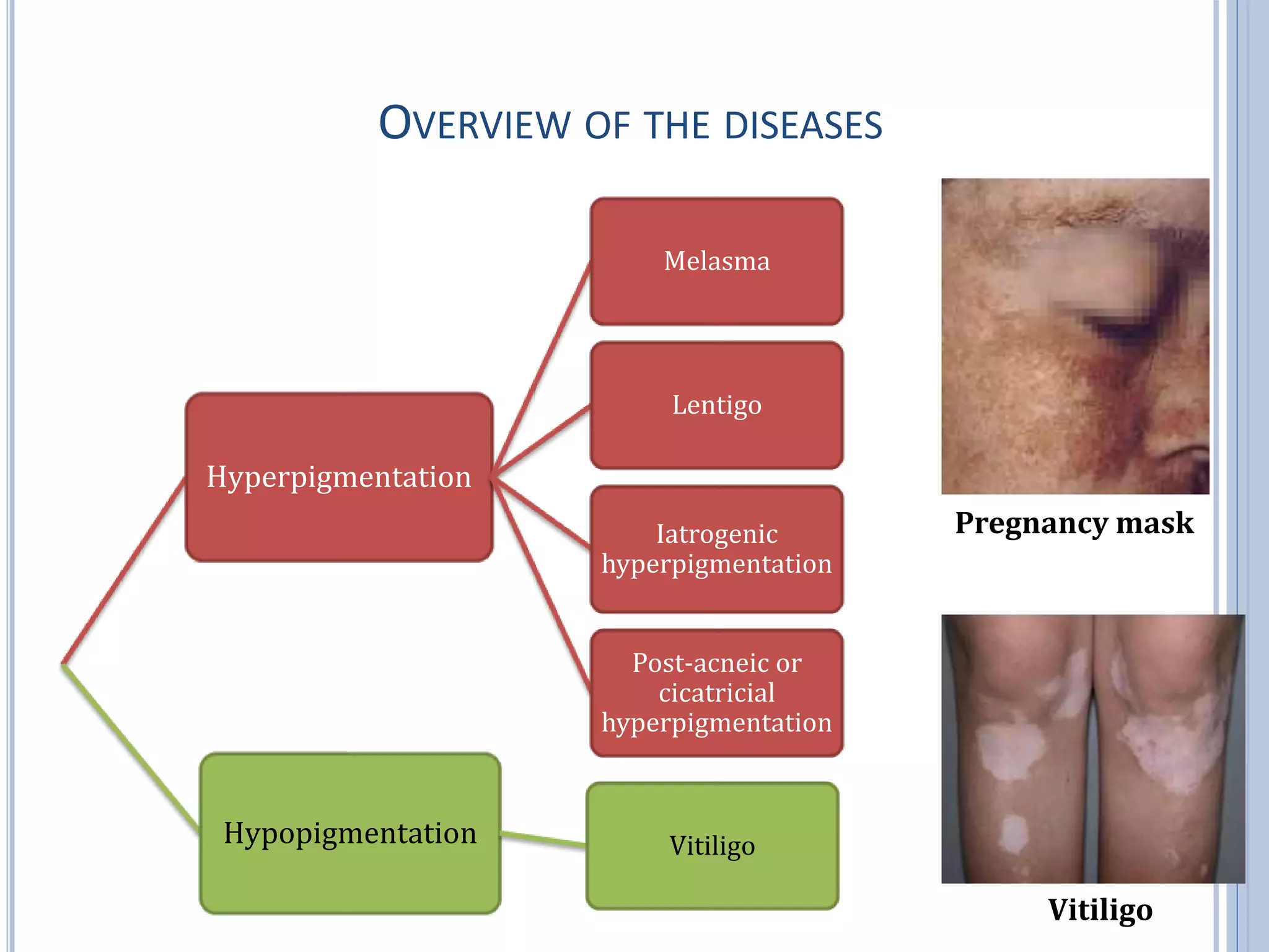 Skin relating problems in cosmetics | PPTX