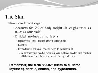 Skin resistance & ans by dr.nidhi | PPTX