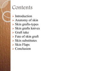 Skin | PPTX