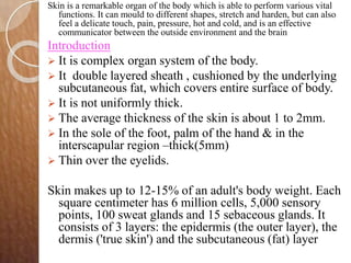 Skin | PPTX