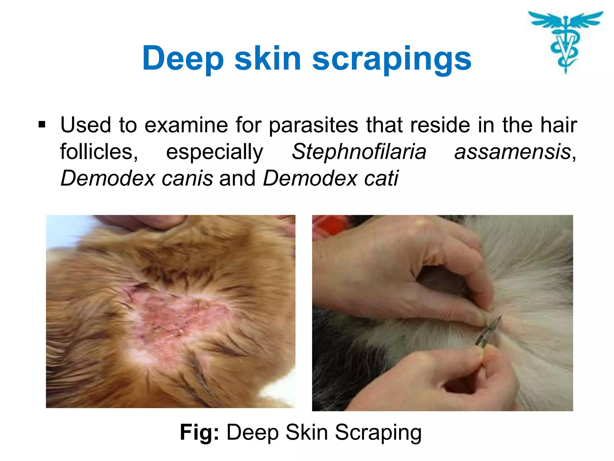 Skin scraping test | PPTX