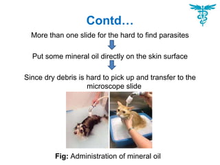 Skin scraping test | PPTX