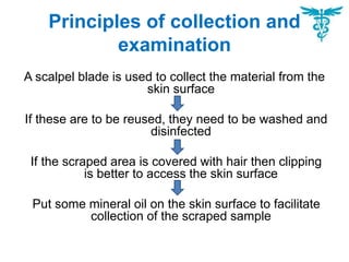 Skin scraping test | PPTX