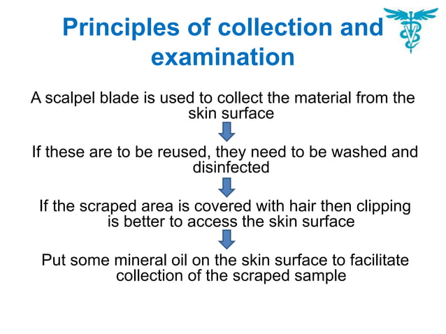 Skin scraping test | PPTX