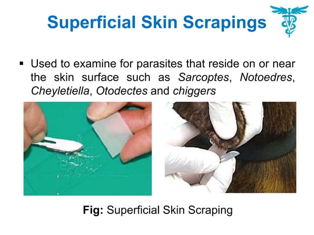 Skin scraping test