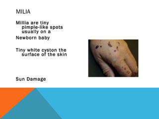 basics lesions of skin - Dr. Gurjot Marwah | PPT | Free Download