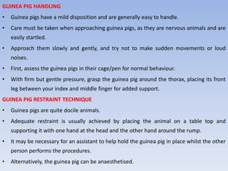 Skin sensitisation (OECD: 406). | PPTX