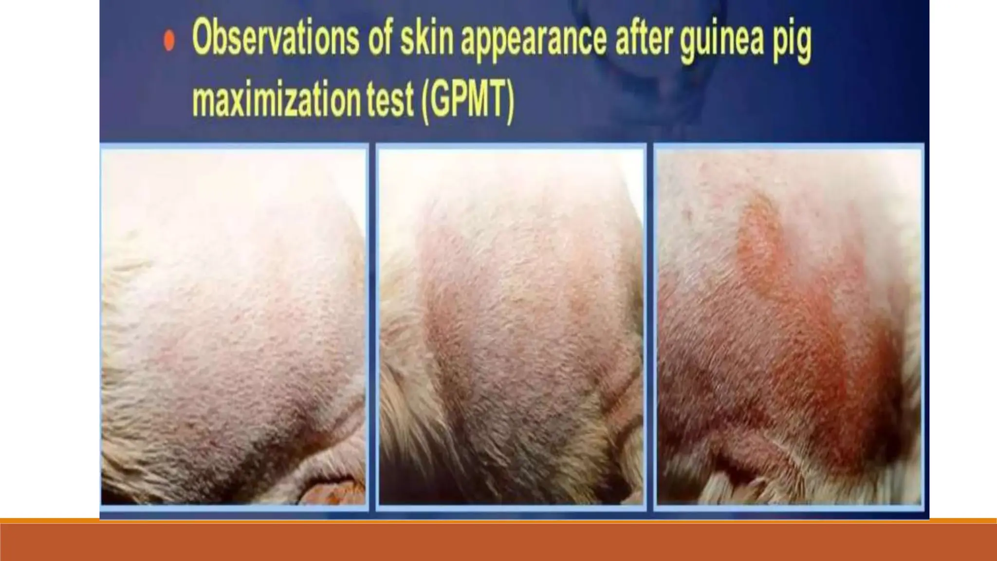 Skin sensitisation, OECD Test guideline 406 .pptx