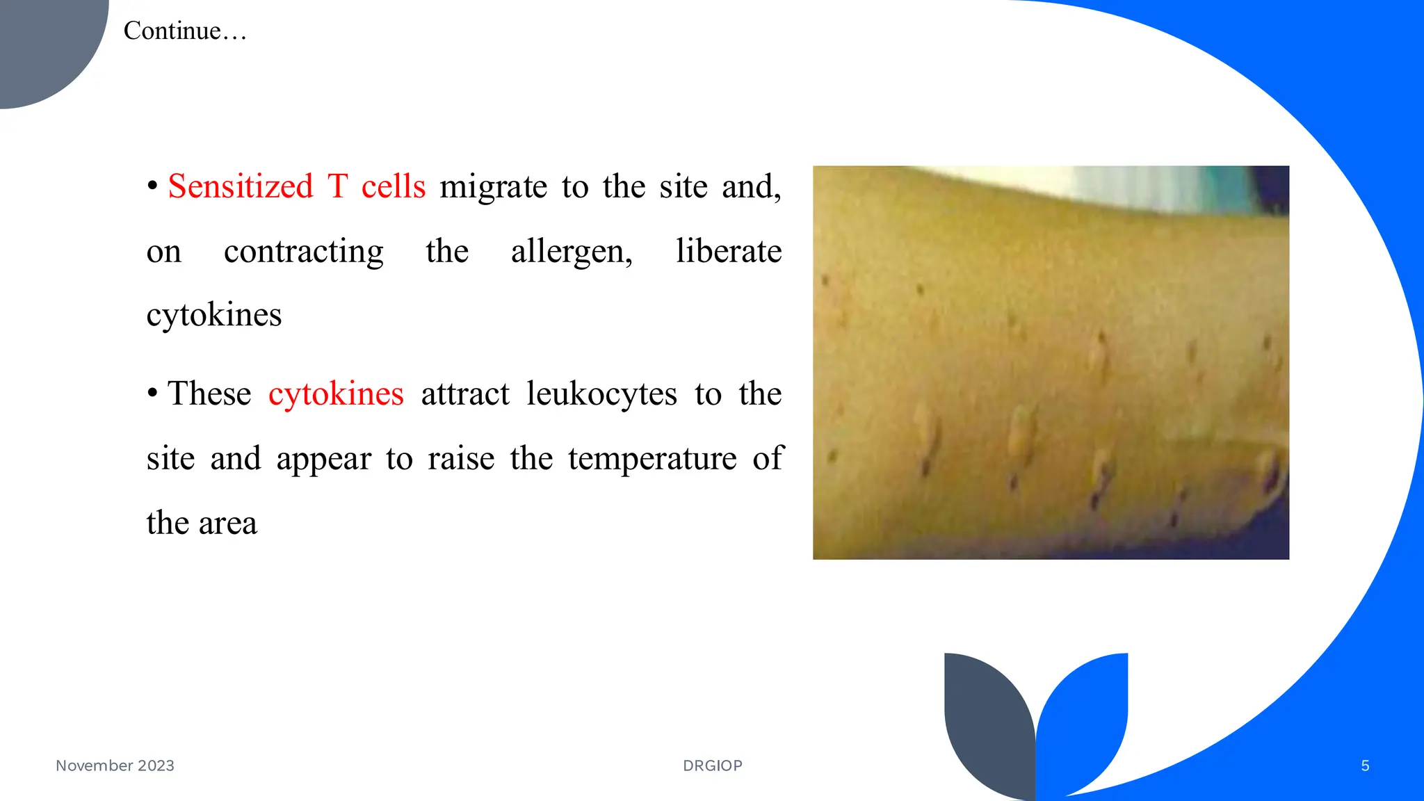 Screening Methods for Skin Sensitization | PDF