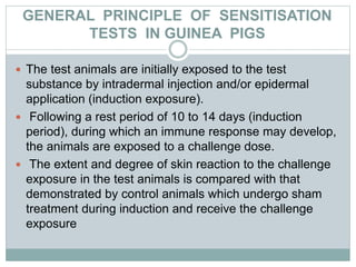 Skin sensitization test (oecd 406) | PPTX