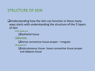 Skin and nail ( the integumentary system) | PPTX