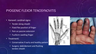 Skin, soft tissue, and hand infection | PPTX