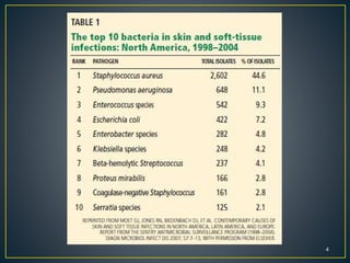 Skin &soft tissue infection | PPTX