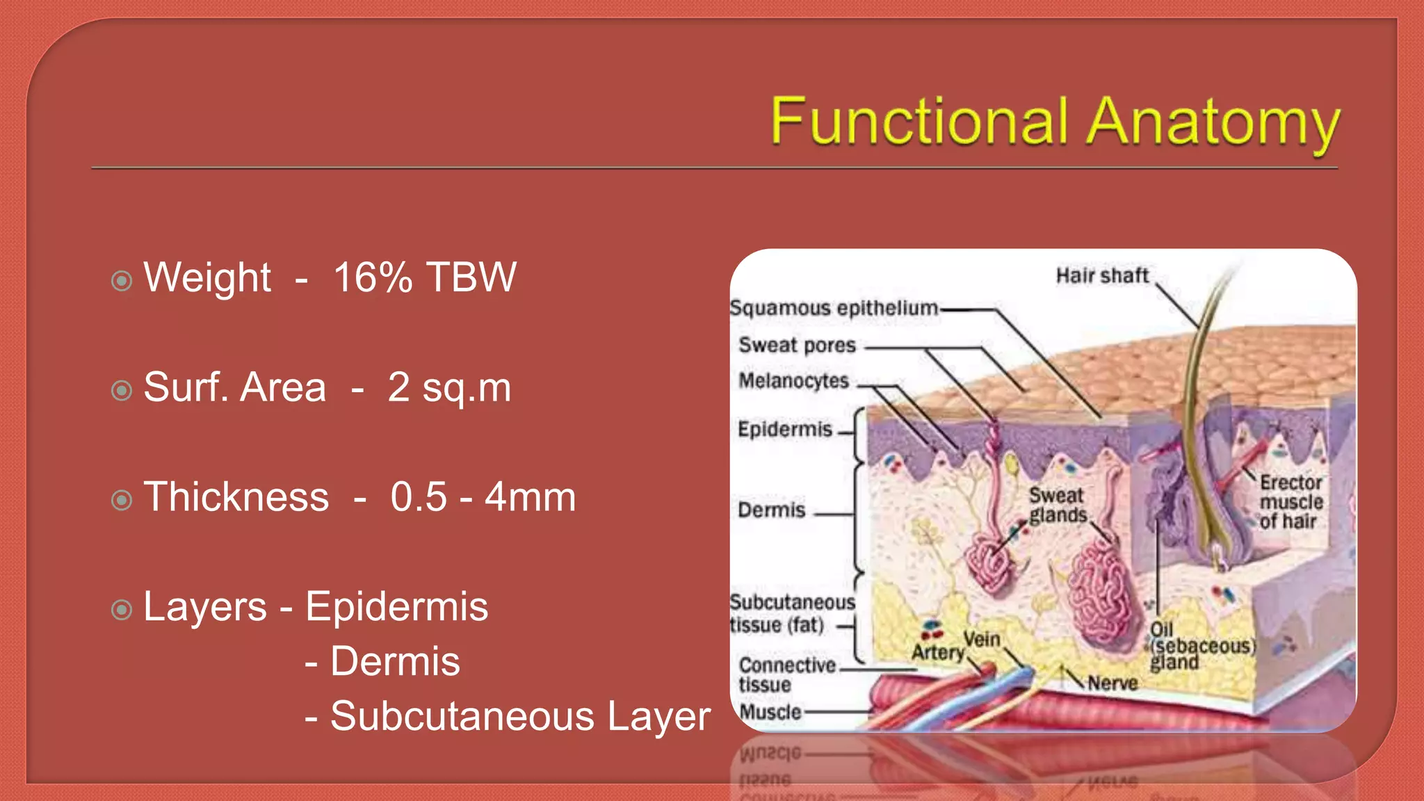 Skin & soft tissue lesions | PPTX