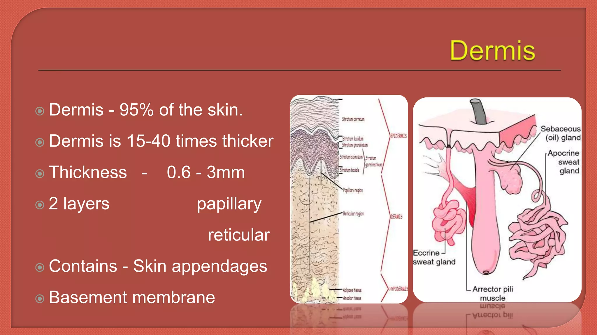 Skin & soft tissue lesions | PPTX