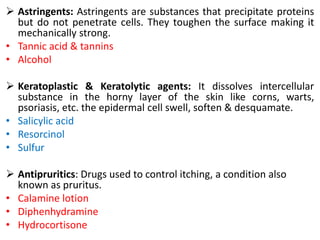 Skin & and Special Senses | PPTX