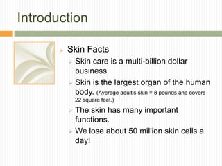 Skin Structure | PPTX | Skin and Dermatology | Diseases and Conditions