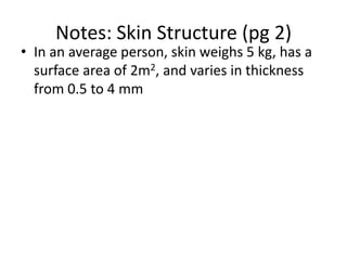 Skin structure | PPT