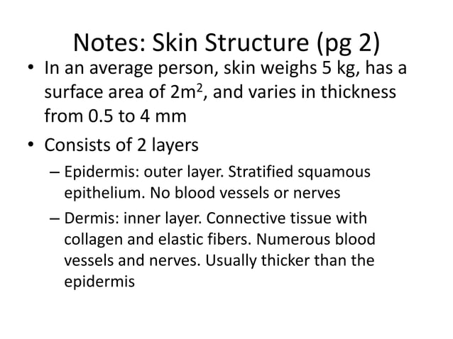 Skin structure | PPT