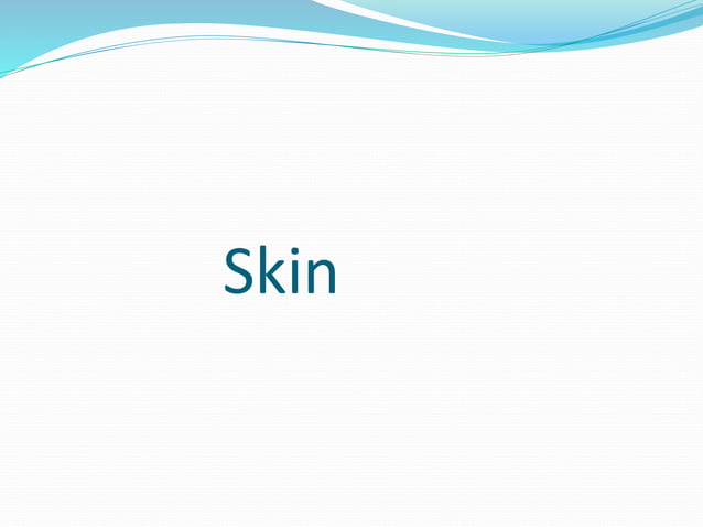 Skin structure | PPT