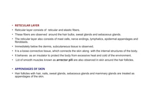 Skin_structure_dermis_epidermis_layers of skin | PPTX