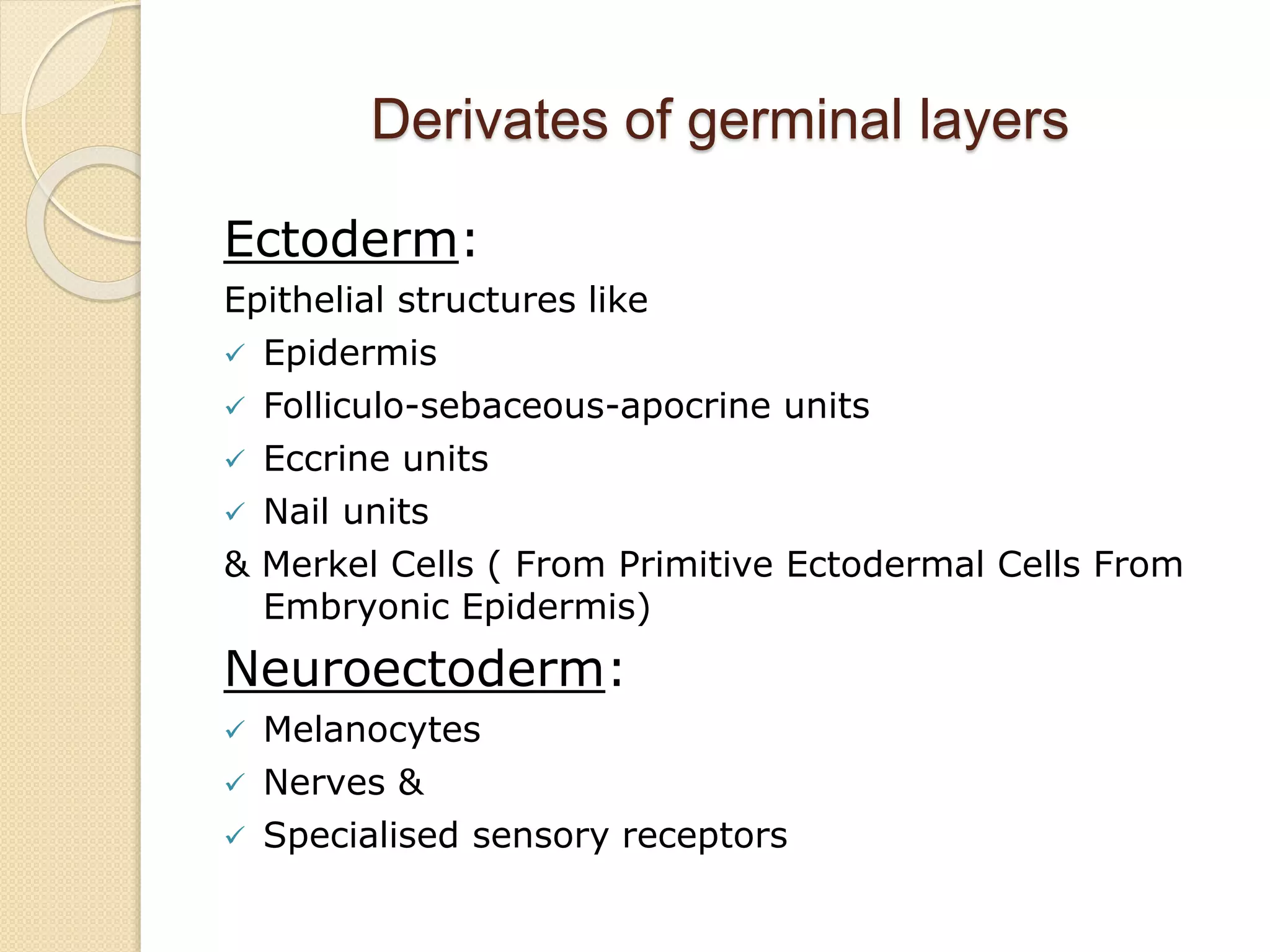 Skin structure and development | PPTX