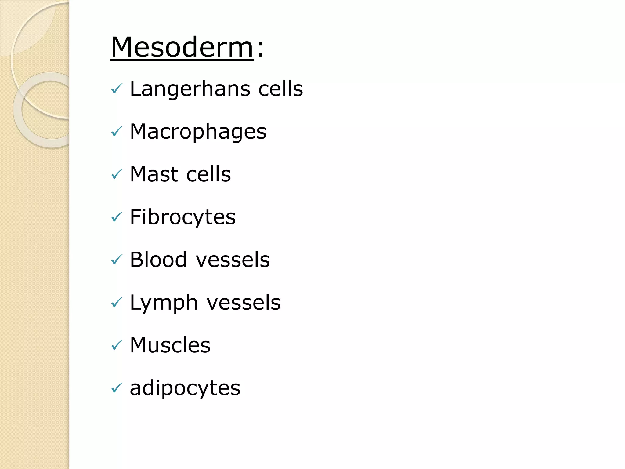 Skin structure and development | PPTX
