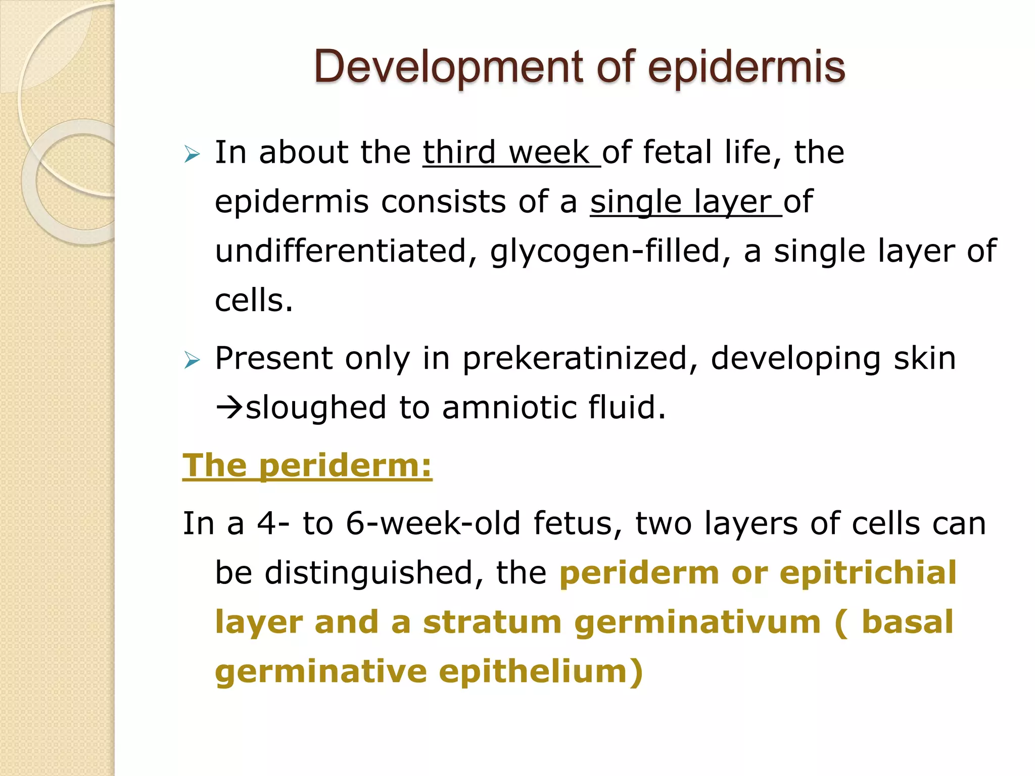 Skin structure and development | PPTX