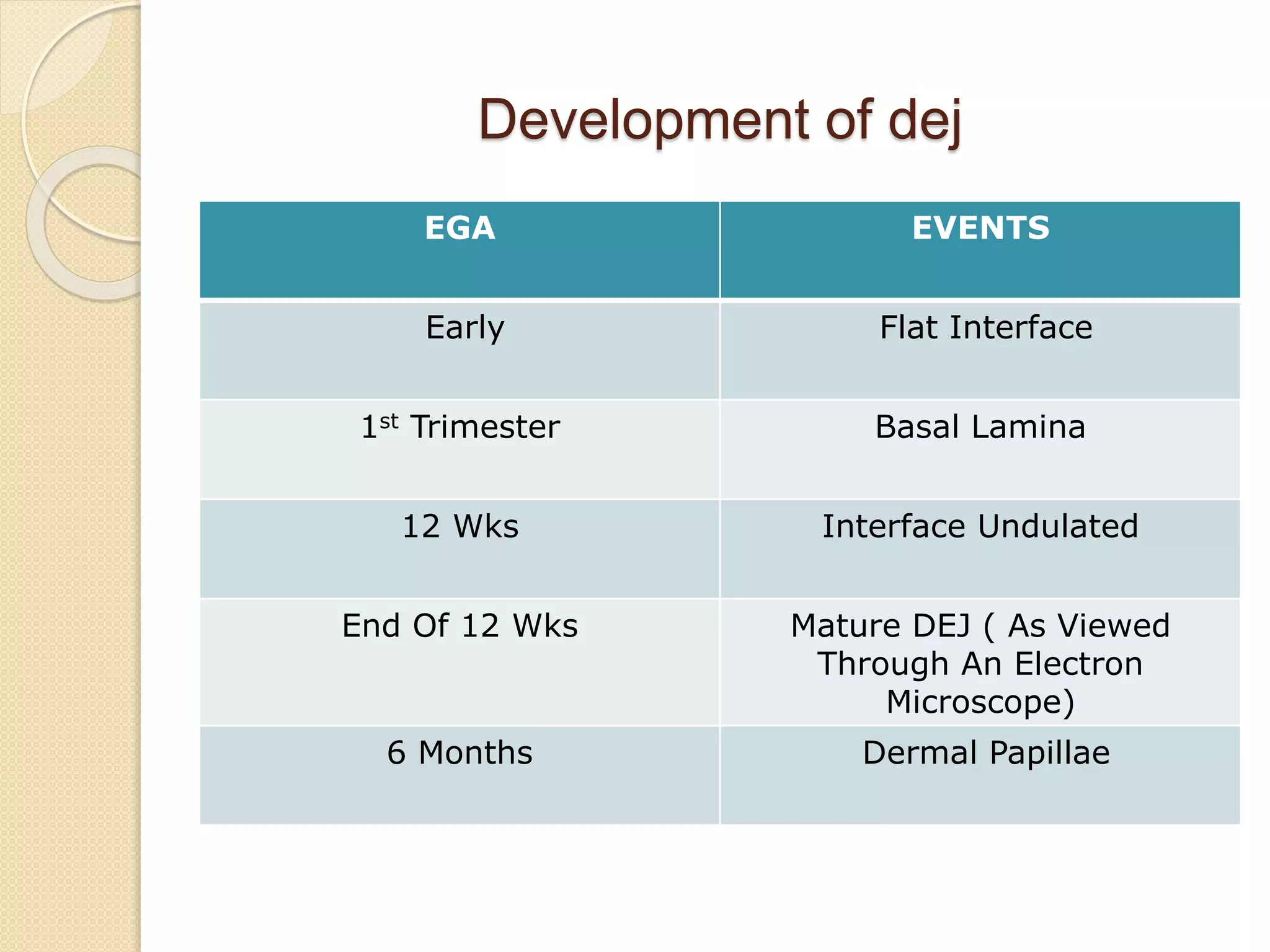 Skin structure and development | PPTX