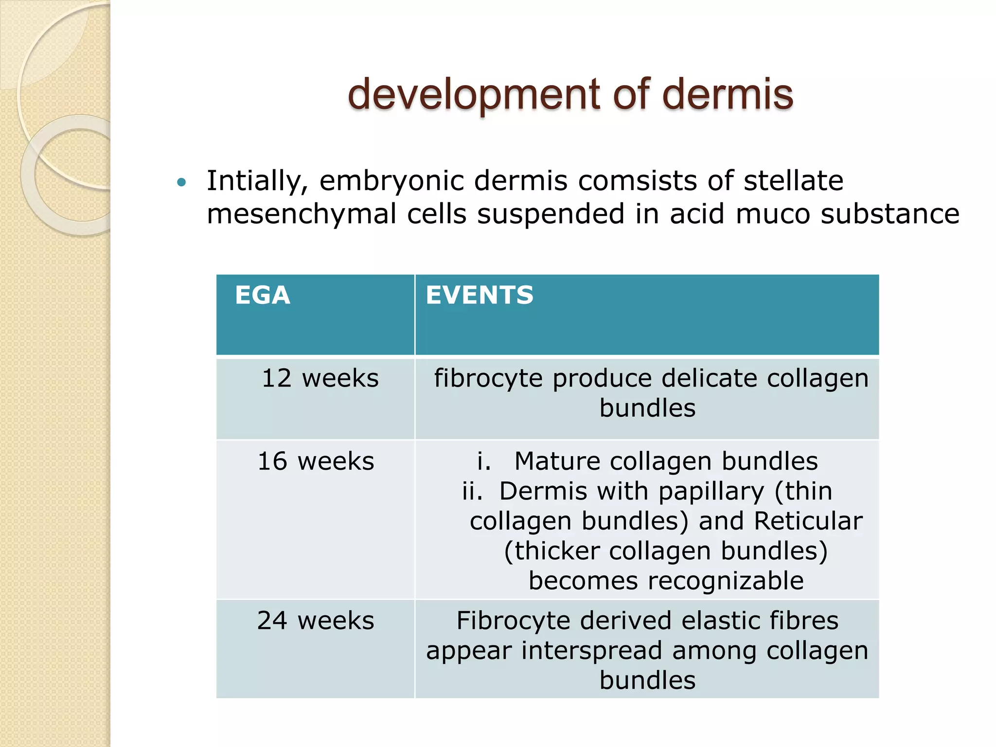 Skin structure and development | PPTX