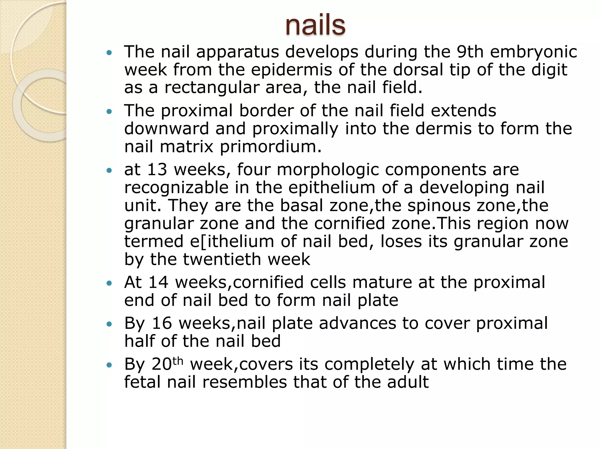 Skin structure and development | PPTX