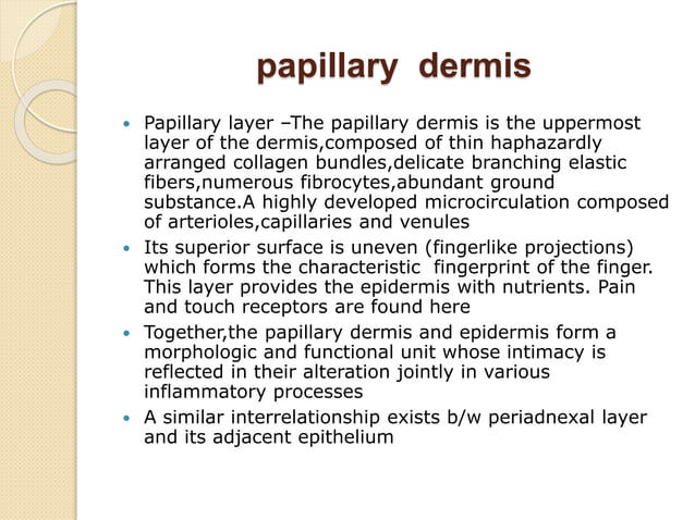 Skin structure and development | PPTX | Skin and Dermatology | Diseases and Conditions