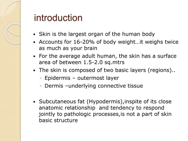 Skin structure and development | PPTX | Skin and Dermatology | Diseases and Conditions