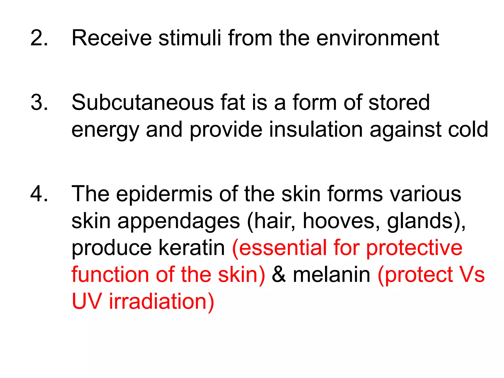 Skin structure & hide defects | PPTX