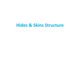 Skin structure & hide defects | PPTX