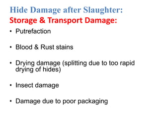 Skin structure & hide defects | PPTX