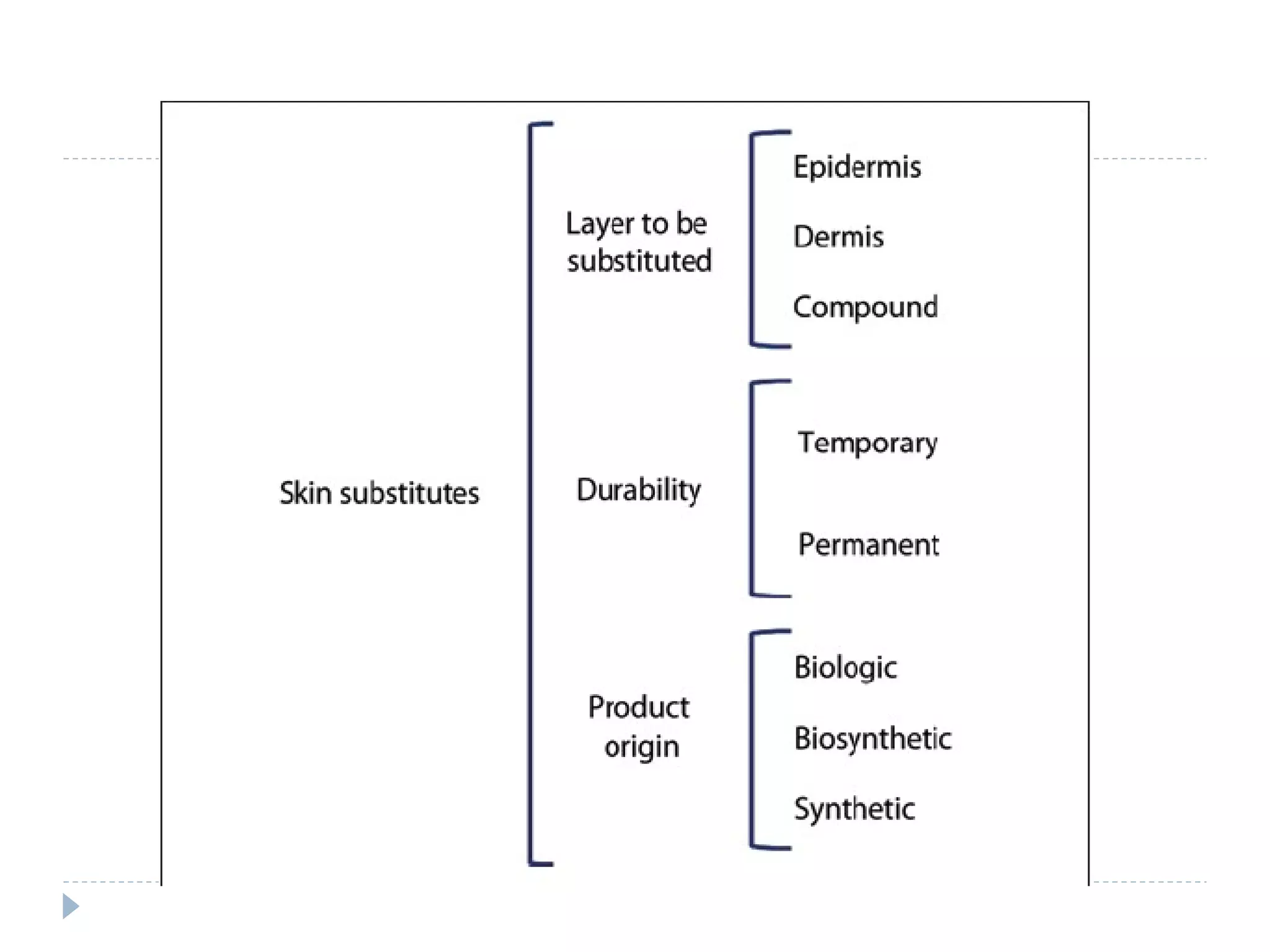 Skin substitutes | PPT