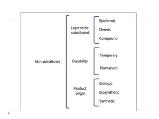 Skin substitutes | PPT